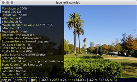 Simple Viewer Gl Ugolnik S Blog