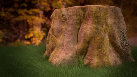 Tree Stump Finished Projects Blender Artists Community