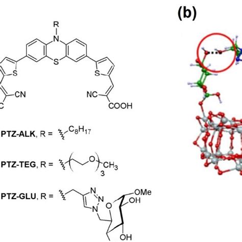 A Structures Of Phenothiazine Based Photosensitizers And Glua