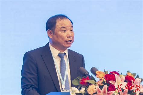 加速兑现光谷科技梦将硅谷创新基因融入武汉光谷 武汉 新闻中心 长江网 cjn cn