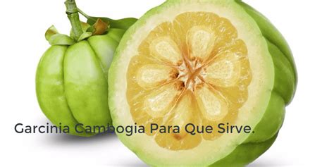 Garcinia Cambogia Para Que Sirve