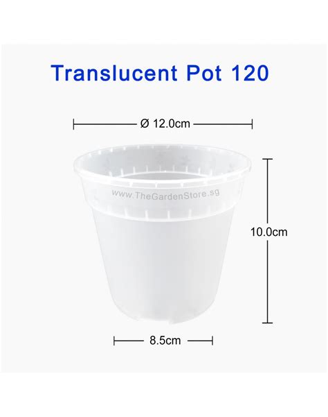 120mmØ X 100mmh Translucent Clear Pot 120
