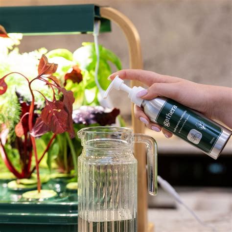 Sun Garden The Biggest Indoor Hydroponic Garden Gathera