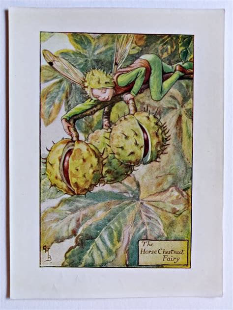 Horse Chestnut Flower Fairy Print Flower Fairy Prints