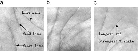 Figure 1 From Palmprint Verification Based On Principal Lines