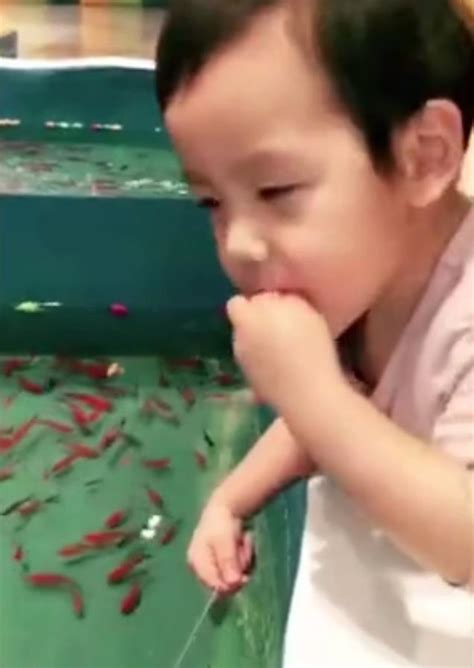 爸爸帶2歲寶寶去看金魚寶寶抓起金魚後下一秒讓人防不勝防 每日頭條