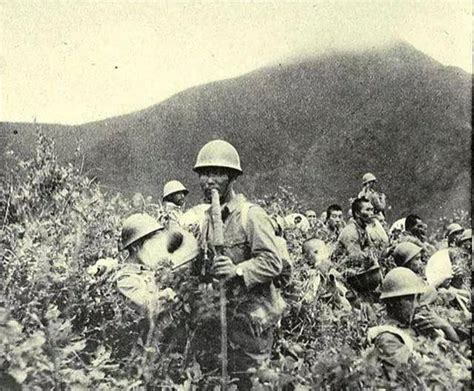 血战万家岭万家岭大捷大连万家岭大山谷图库