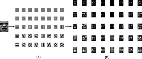 The Example Of Gabor Wavelet Transformation A Real Part Of Gabor