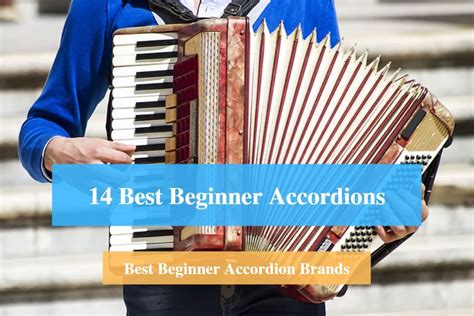 14 Best Beginner Accordion Reviews 2022 Accordion For Beginners Cmuse