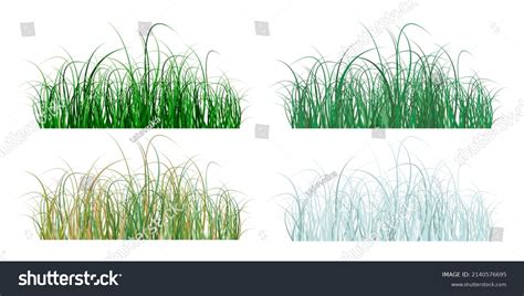 Grass Vector Template Isolated On White Stock Vector Royalty Free 2140576695 Shutterstock