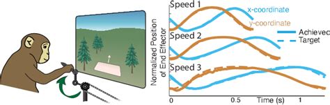 Figure 2 From Recurrent Neural Networks Controlling Musculoskeletal Models Predict Motor Cortex