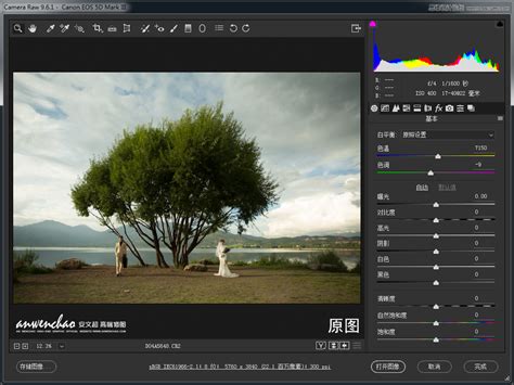 Photoshop调出干净透亮清新的外景婚纱照片 Ps教程网