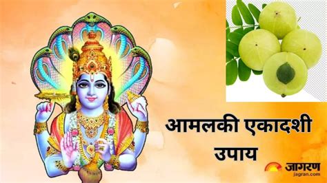 Amalaki Ekadashi 2024 आमलकी एकादशी पर आंवले से जुड़े करें ये उपाय