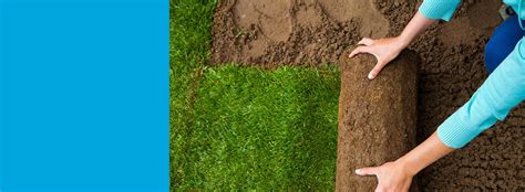 Lawn Spraying Fertilization Services