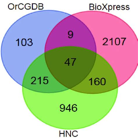 Venn Diagram Of Oral Cancer Genes Download Scientific Diagram