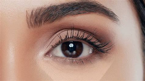 Cómo aplicar tu corrector de ojeras y qué color te conviene valuna co