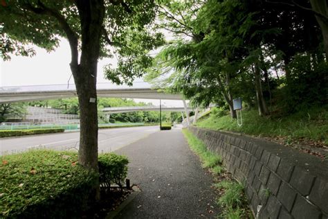 映画『万引き家族』のワンシーンが多摩市で撮影された模様です。そのロケ場所は？ 多摩ポン