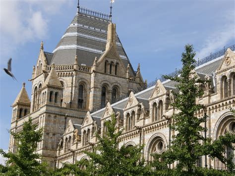 ロンドン自然史博物館 13 さきち・のひとり旅