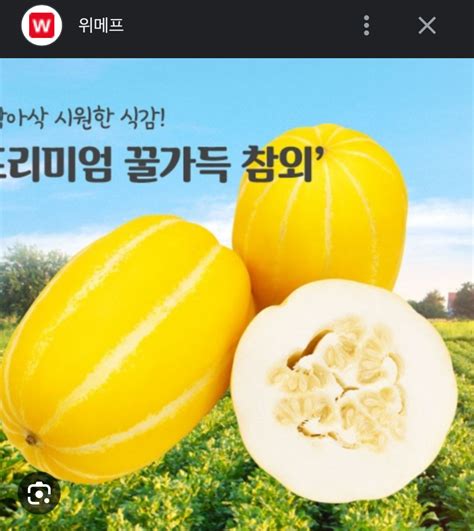 수박 코코넛 멜론과 같은 과일의 단면이 비슷한 이유는 무엇인가요 ㅣ 궁금할 땐 아하