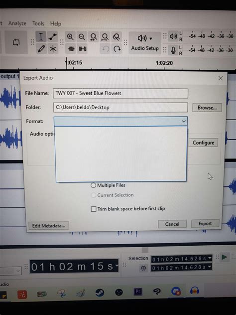 How To Export Audio Files In Audacity Gigabrain
