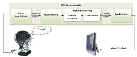 Basic Block Diagram Of Bci Systems Download Scientific Diagram