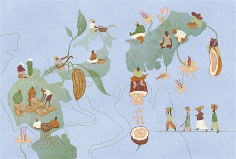 Viaje A Los Orígenes Del Cacao