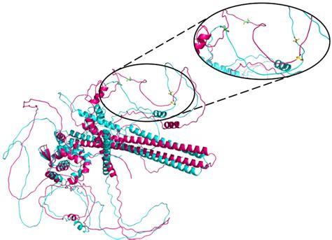 Foxp2 Using Genetics To Understand Human Language Ability The Pipettepen