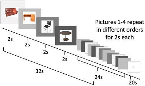 Figure 1 From The Role Of The Dorsolateral Prefrontal Cortex In The