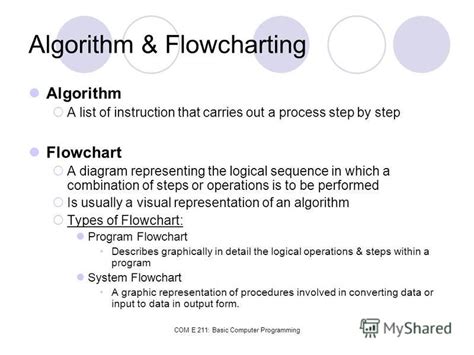 Презентация на тему UNIT 2 Introduction to Computer Programming