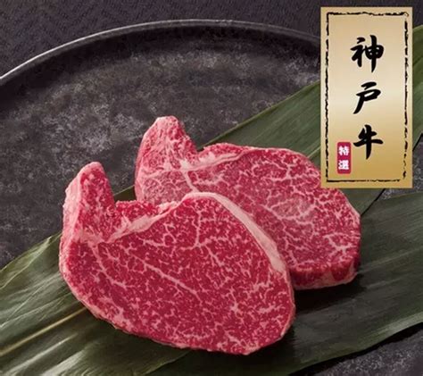 知乎日报 知乎