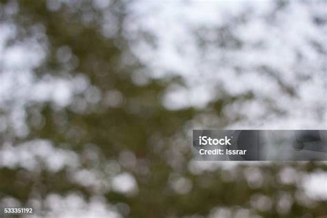 Latar Belakang Alam Hijau Abstrak Dengan Lampu Bokeh Buram Defocused