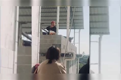 同学因疫情学校封校！奶奶摘自家楼顶的橘子，投喂对面学生！