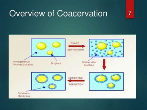 Coacervation Phase Separation Techniques