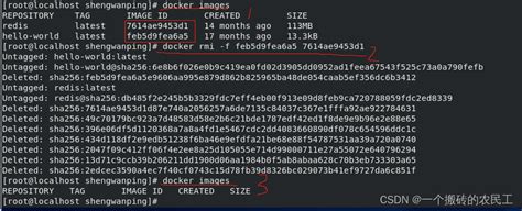 docker常用命令 csdn博客