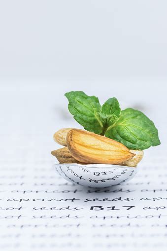 건조 살구 커널 또는 살구 씨앗 녹색 잎에 밝은 배경에 여유 공간 0명에 대한 스톡 사진 및 기타 이미지 0명 B 17