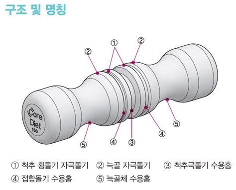 구조 및 명칭 딥롤러