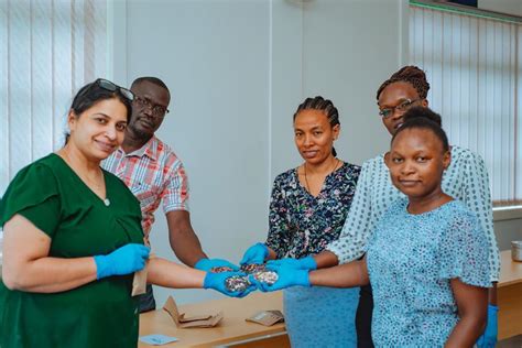 Accelerating Bean Breeding To Respond To Market Demands In East Africa Aciars Rapid Cooking