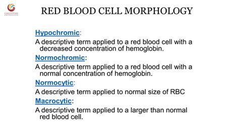 Abnormal Morphology Of Rbc Notes Pdf