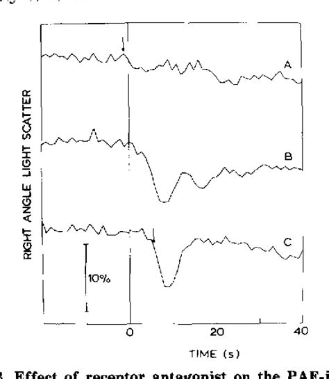 Figure 3 From Oscillating Actin Polymerizationdepolymerization