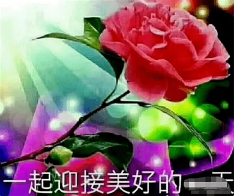 早上好，问候朋友，温暖彼此！友情灵性天涯路