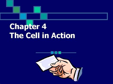 Chapter The Cell In Action The Movement