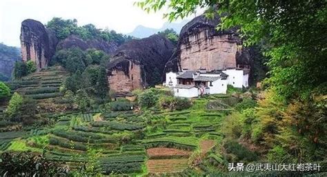 解說武夷山武夷岩茶大紅袍的山場 每日頭條