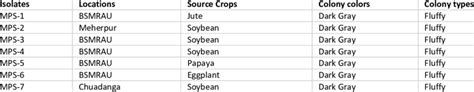 Cultural Characteristics Of M Phaseolina Isolates On Pda Medium