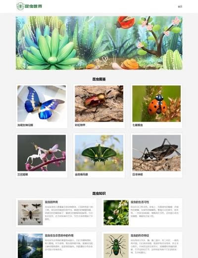 Html5静态网页模板网页设计模板大学生网页模板下载 Web作业网