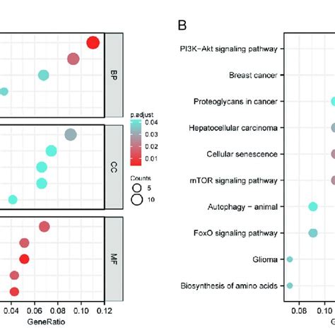 enrichment analysis of function bubble plot of target gene go