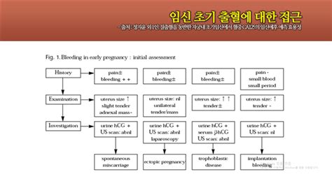 임신 초기 출혈에 대한 접근 대전 유앤그린 여성한의원 유앤그린 한의원