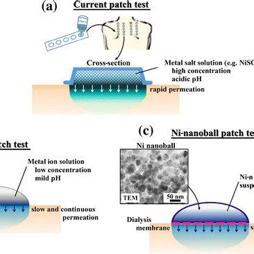 Various Patch Test Schemes A Currently Available Commercial Patch Test Download Scientific
