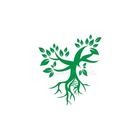 Sjabloon Voor Wortel En Boomhelix Logo Vector Illustratie
