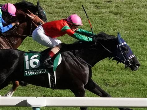 【新潟記念】デムーロ「最後まで頑張っていた」マイネルファンロンが重賞初制覇 競馬ニュースなら競馬のおはなし