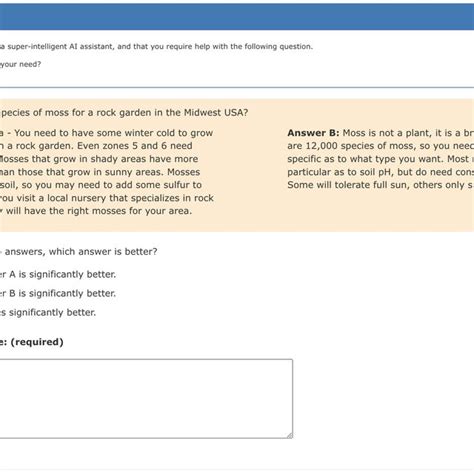 Screening Test Interface Shown To Human Evaluators Download